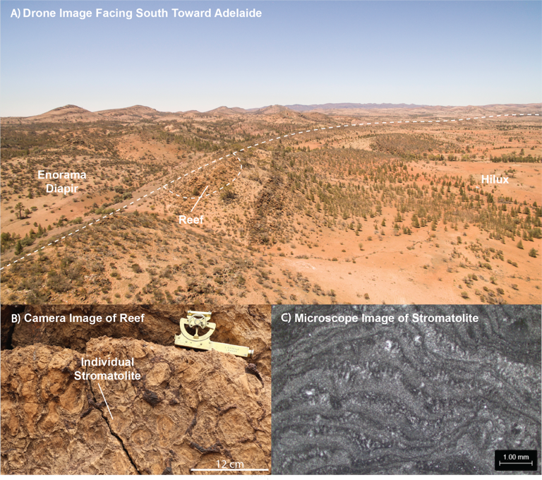 Ancient ‘salt mountains’ in southern Australia once created refuges for ...