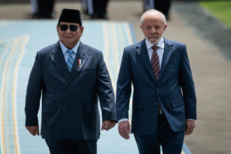 Indonesia, Brazil strike cooperation deals as leaders meet
