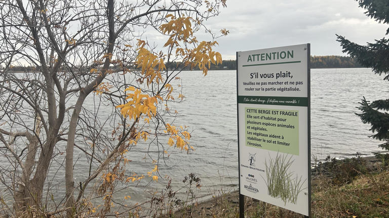 Ralentir l’érosion grâce à la nature à Grand Bouctouche