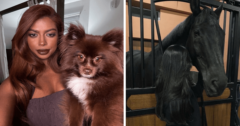 20 Adorable Snapshots That Show Pets and Their Humans Could Be Long ...