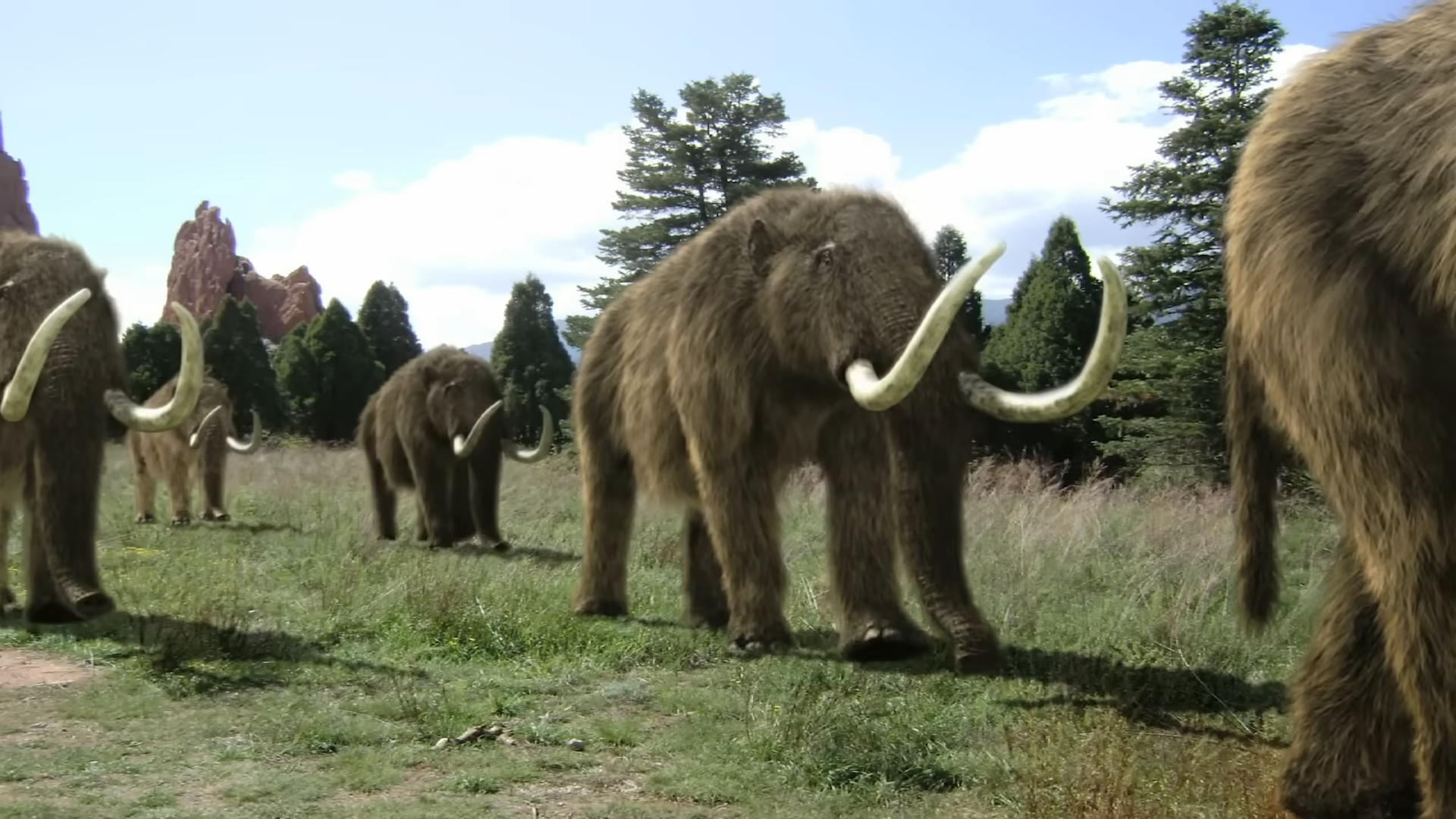 How DNA Could Recreate Animals That Vanished Centuries Ago