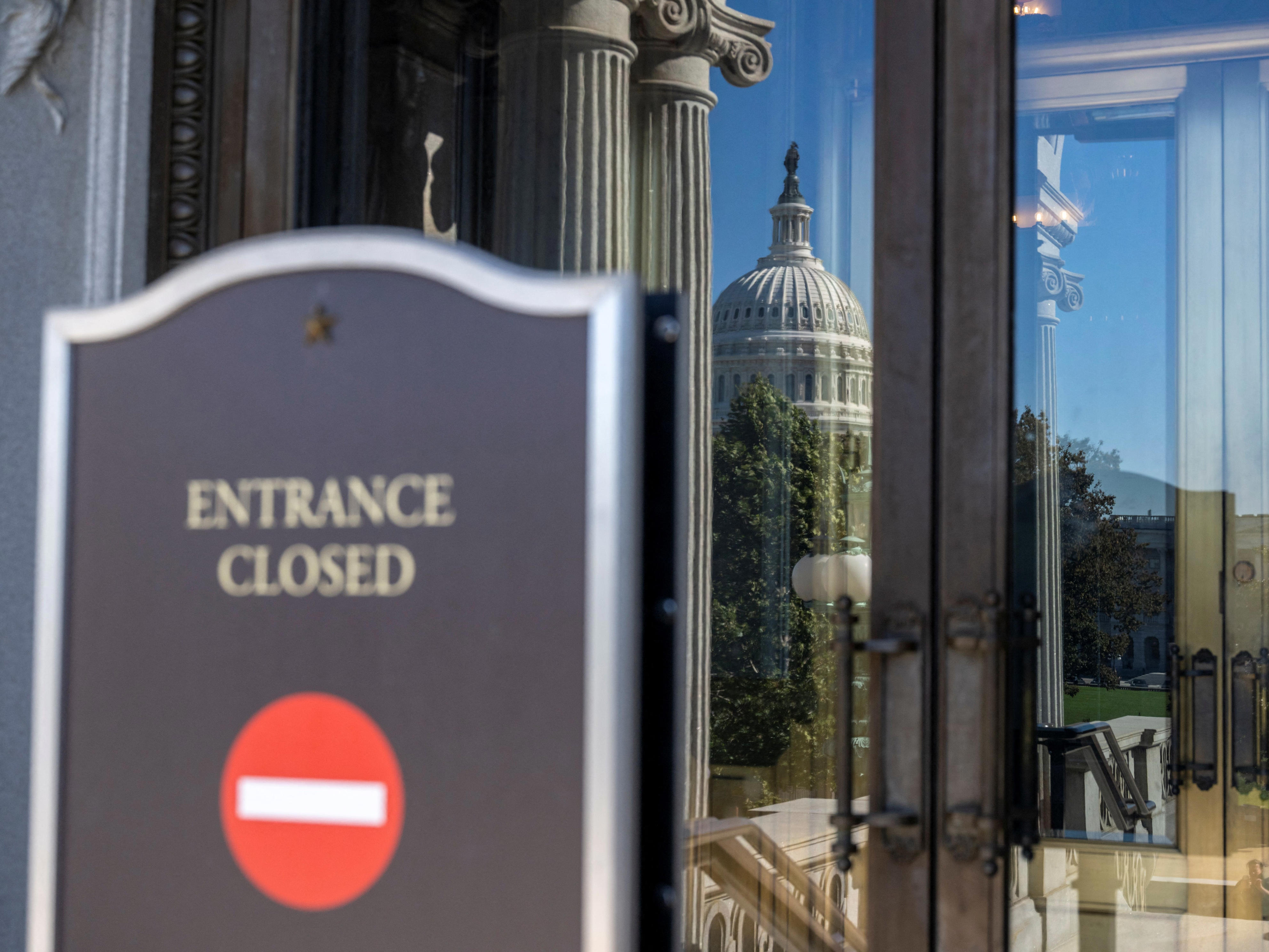 When Zoo Animals Attack – Shocking Moments Caught on Camera