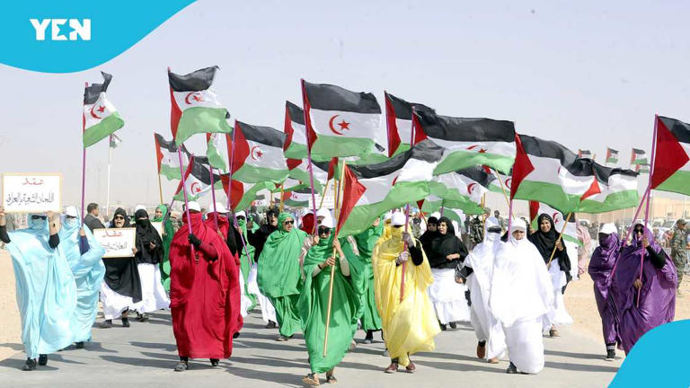 Shock ban: This African country misses 2026 FIFA World Cup