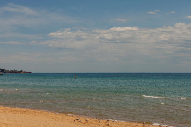 British man drowns in Australia after surfboard snaps