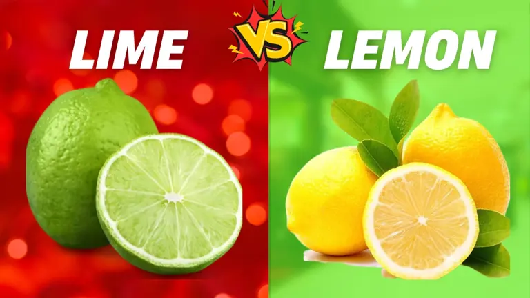 Lime vs Lemon: Check All the Differences Here!