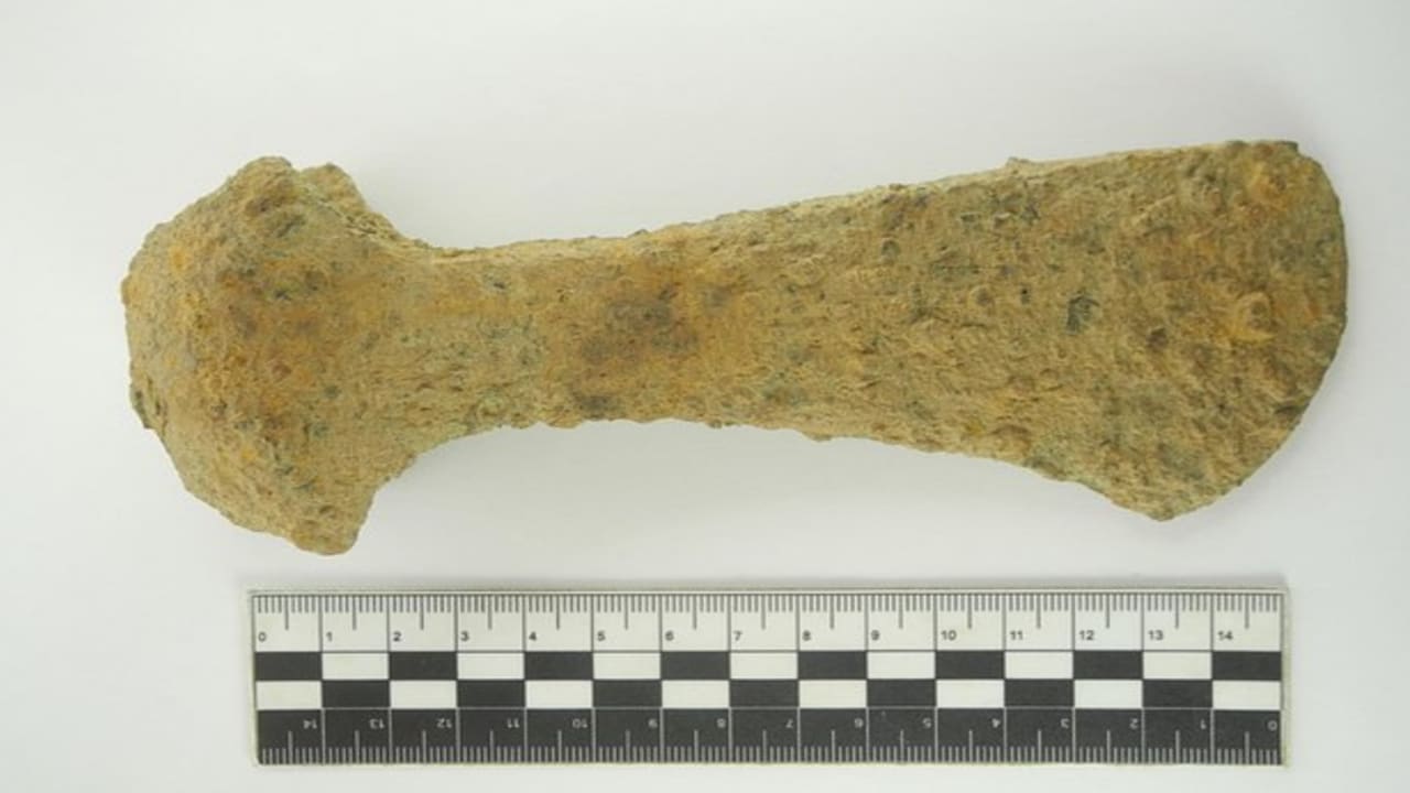 Archaeologists find intact Merian axe from tenth century near Rostov ...