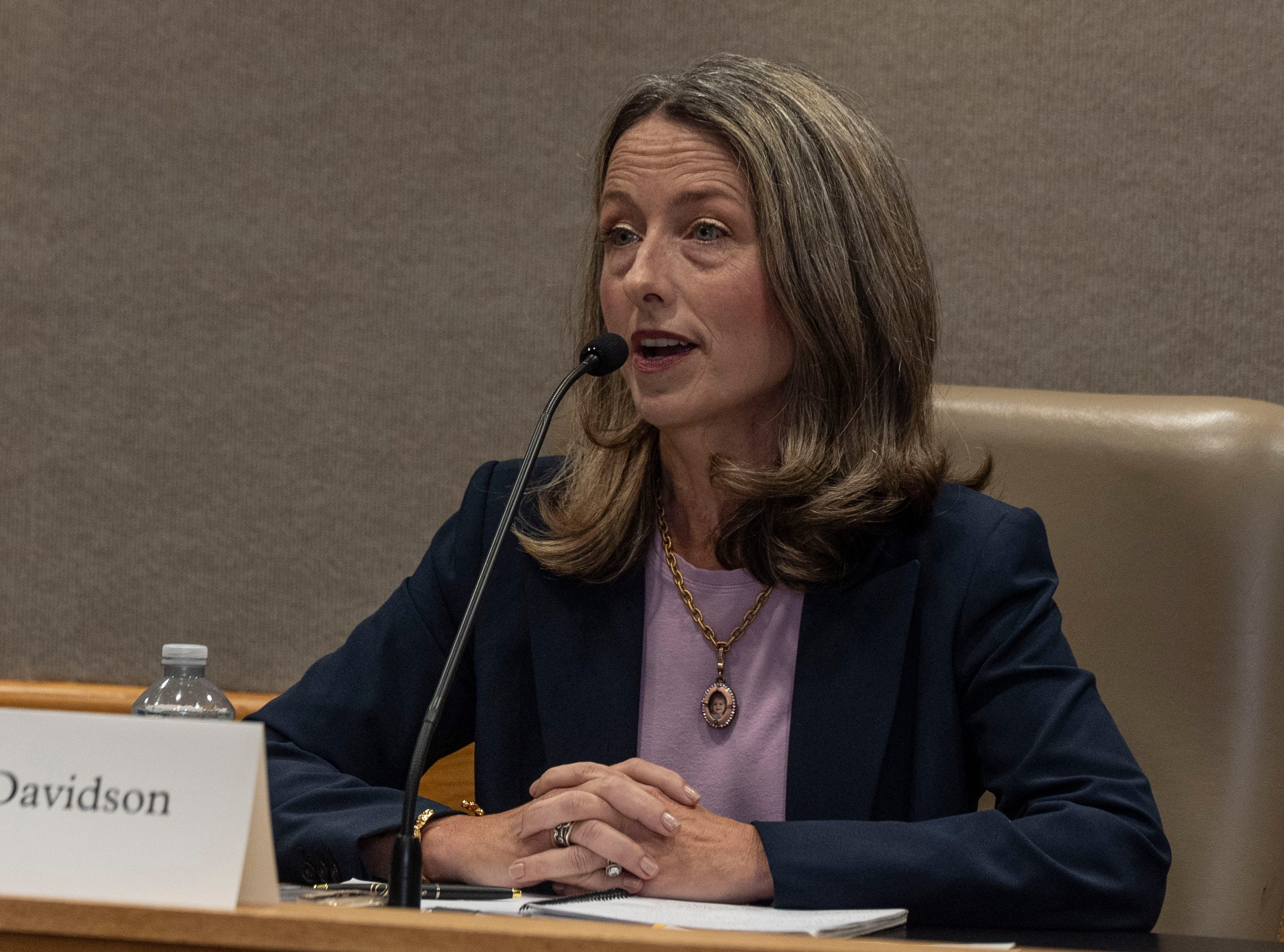 Rockland Democratic leaders back Beth Davidson in crowded primary for ...