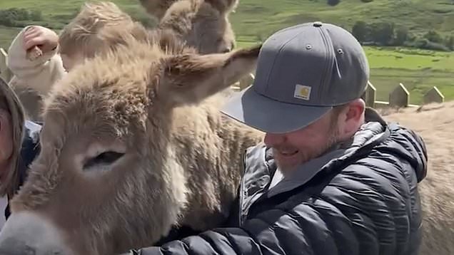 Hilarious moment donkeys invade tea party