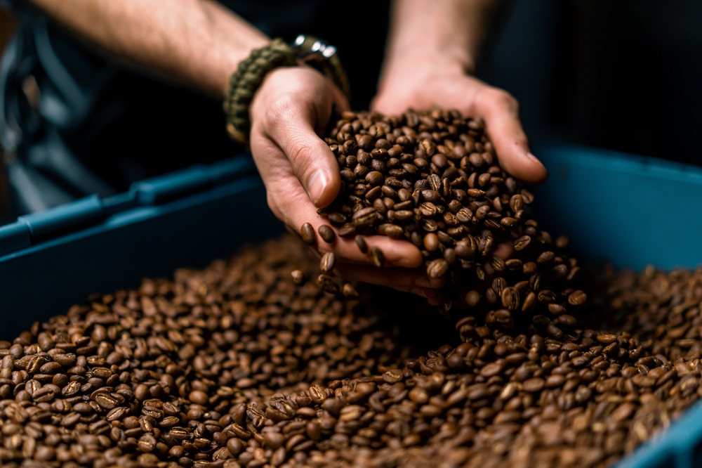 7 Coffee Brands That Actually Use 100% Arabica Beans