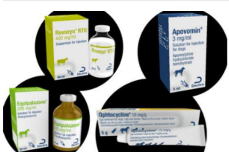 Four animal medications urgently recalled including for dogs, cats and ...