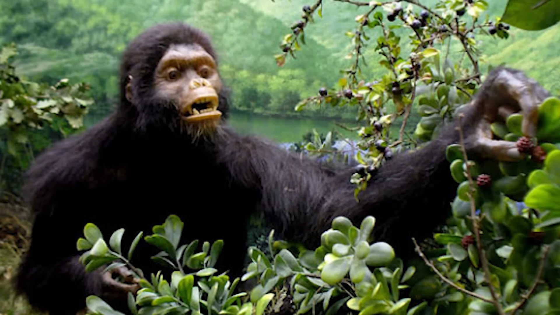 Humanity S Evolution 65 Million Years In The Making