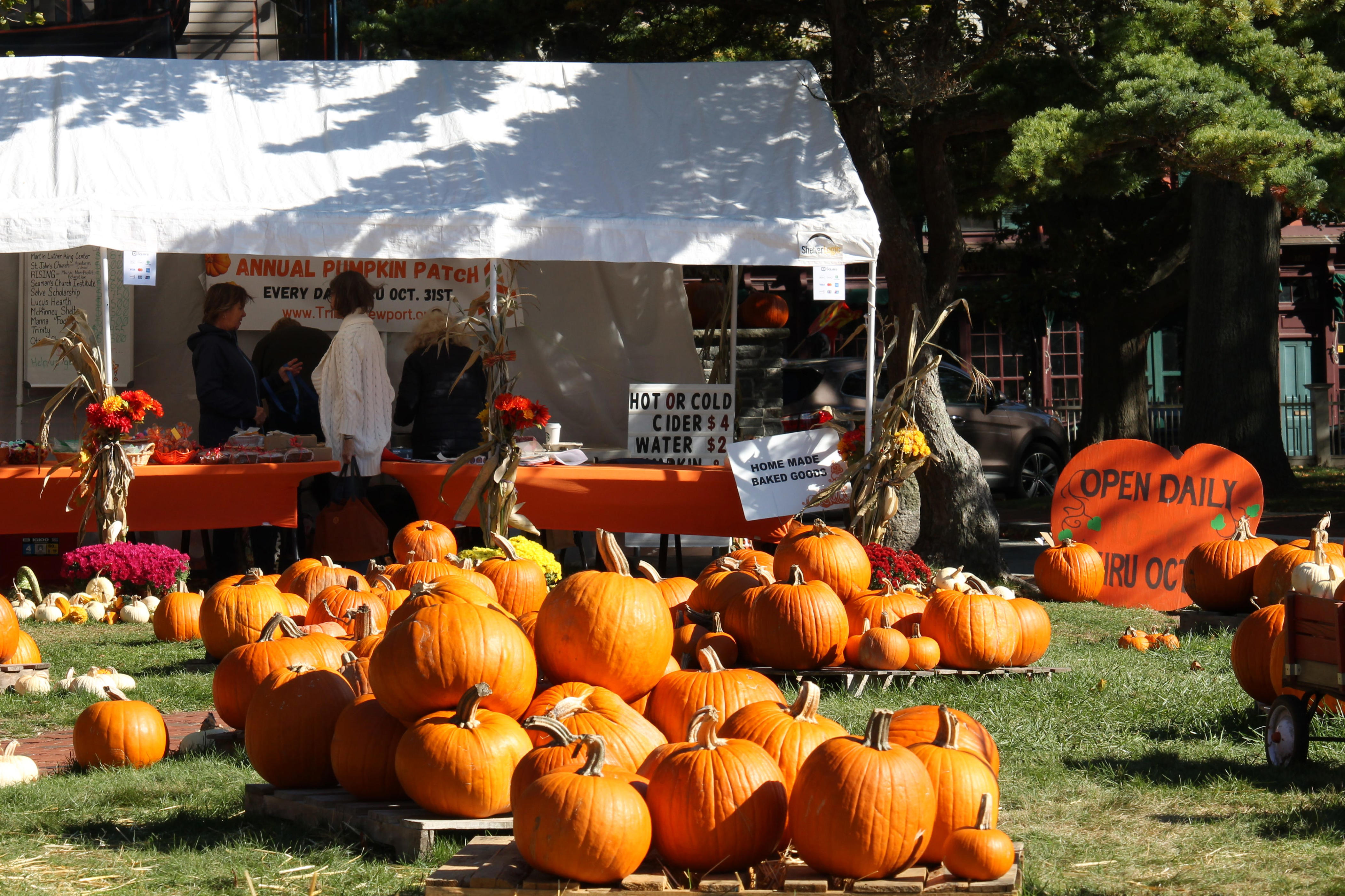 Trinity Church's pumpkin patch is an annual Newport tradition. It goes beyond fall joy