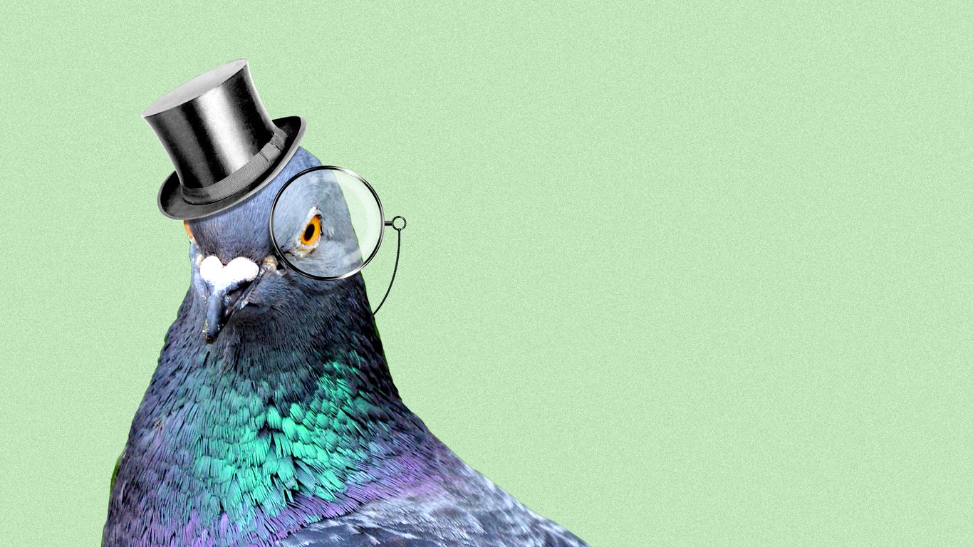Meet Pete, the Ohio Senate's stuffed pigeon