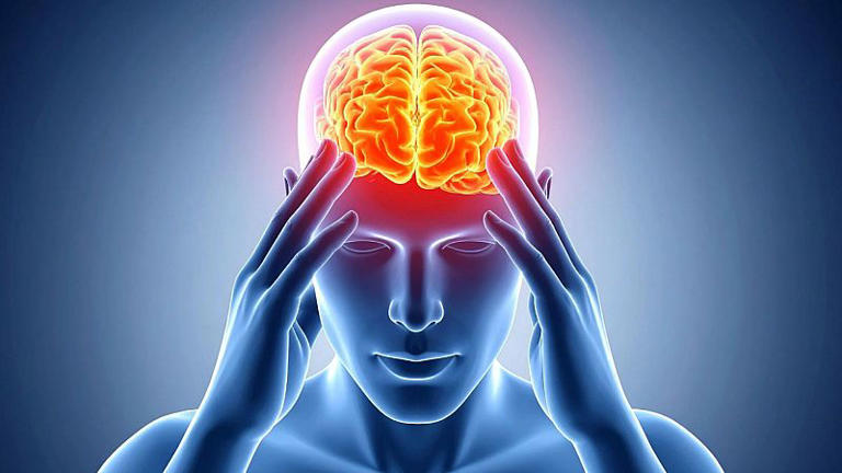 Men’s brains shrink faster with age than women’s, study finds