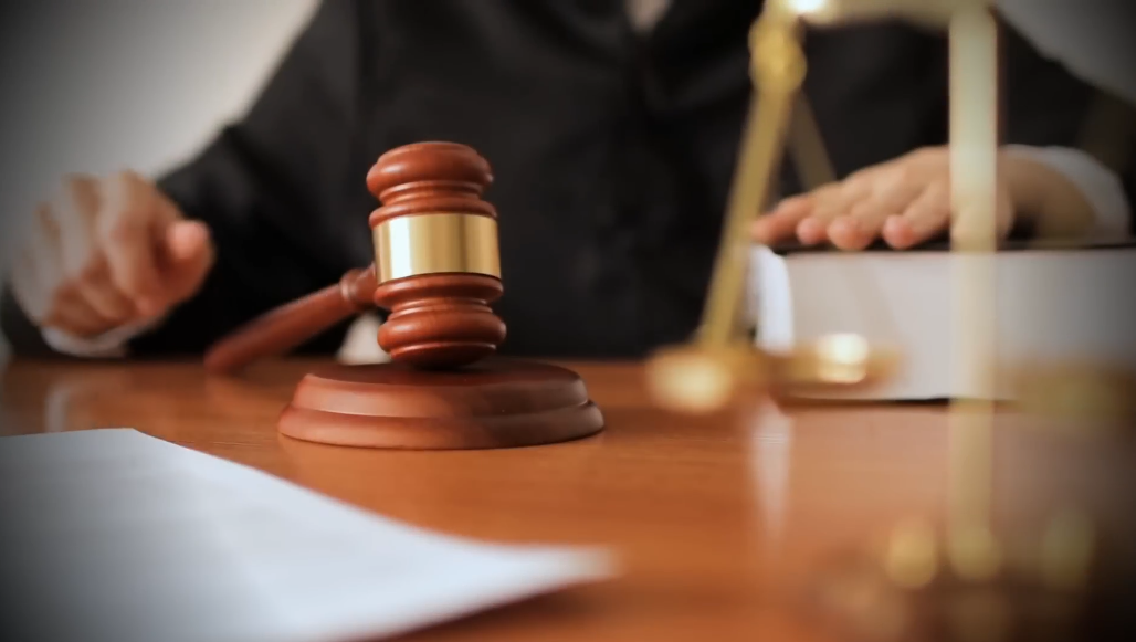 Fed-Up Judge Delivers Justice to Animal Abusers – A Powerful Verdict