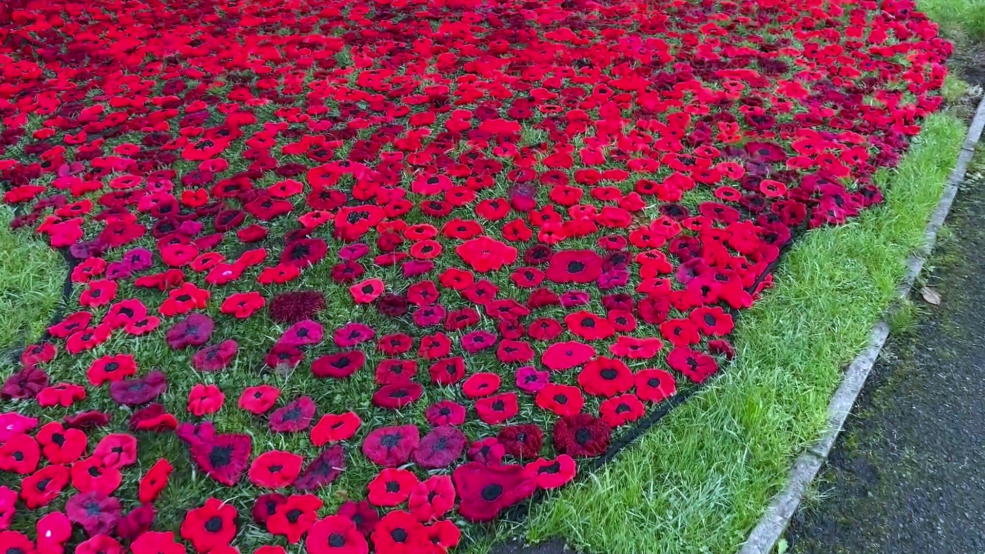 Thousands of crocheted poppies cascade from church ahead of Remembrance Day