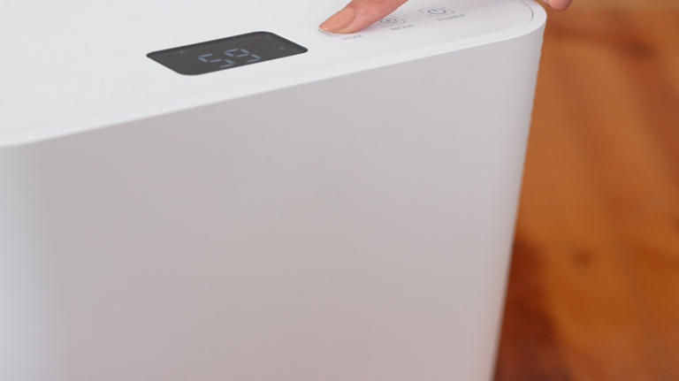 Is There A Best Time To Run A Dehumidifier? It May Not Matter (But Here ...