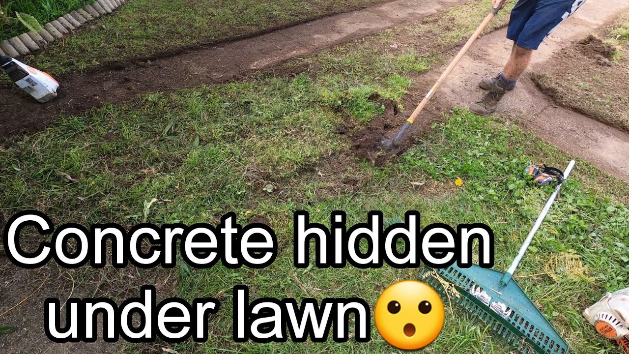 4-in-1 Transformation! Fixing the Block’s Most Neglected Yard!