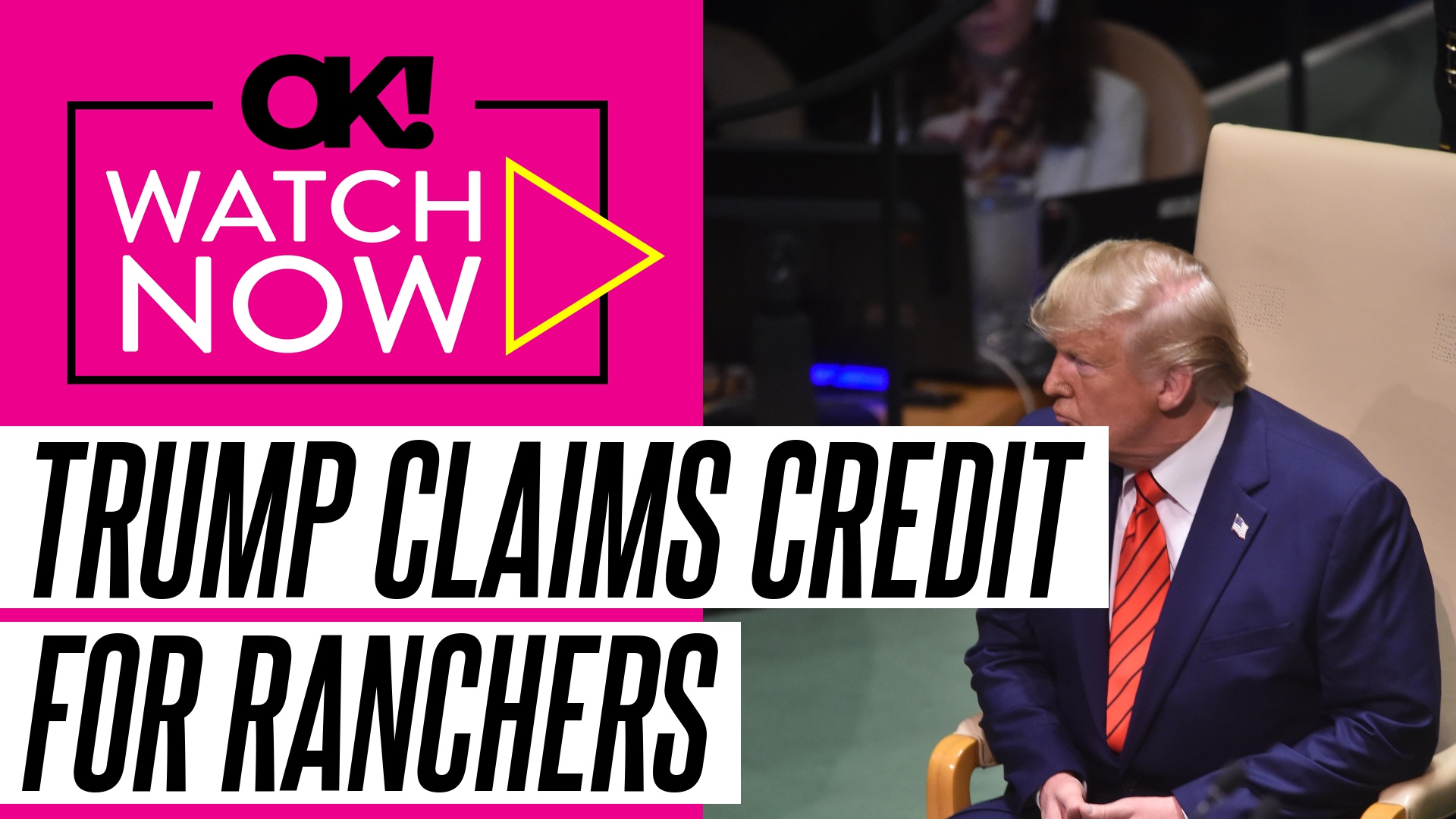 Donald Trump's Bizarre Brag: President Insists Cattle Ranchers Would Be ...