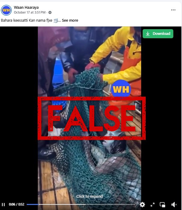 Clip showing human-like creature entangled in fishing nets is AI-generated