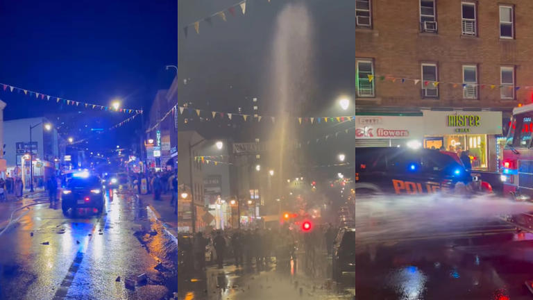 'Firefighters Play Holi As NRIs Play Diwali': US Cops Douse Fireworks ...