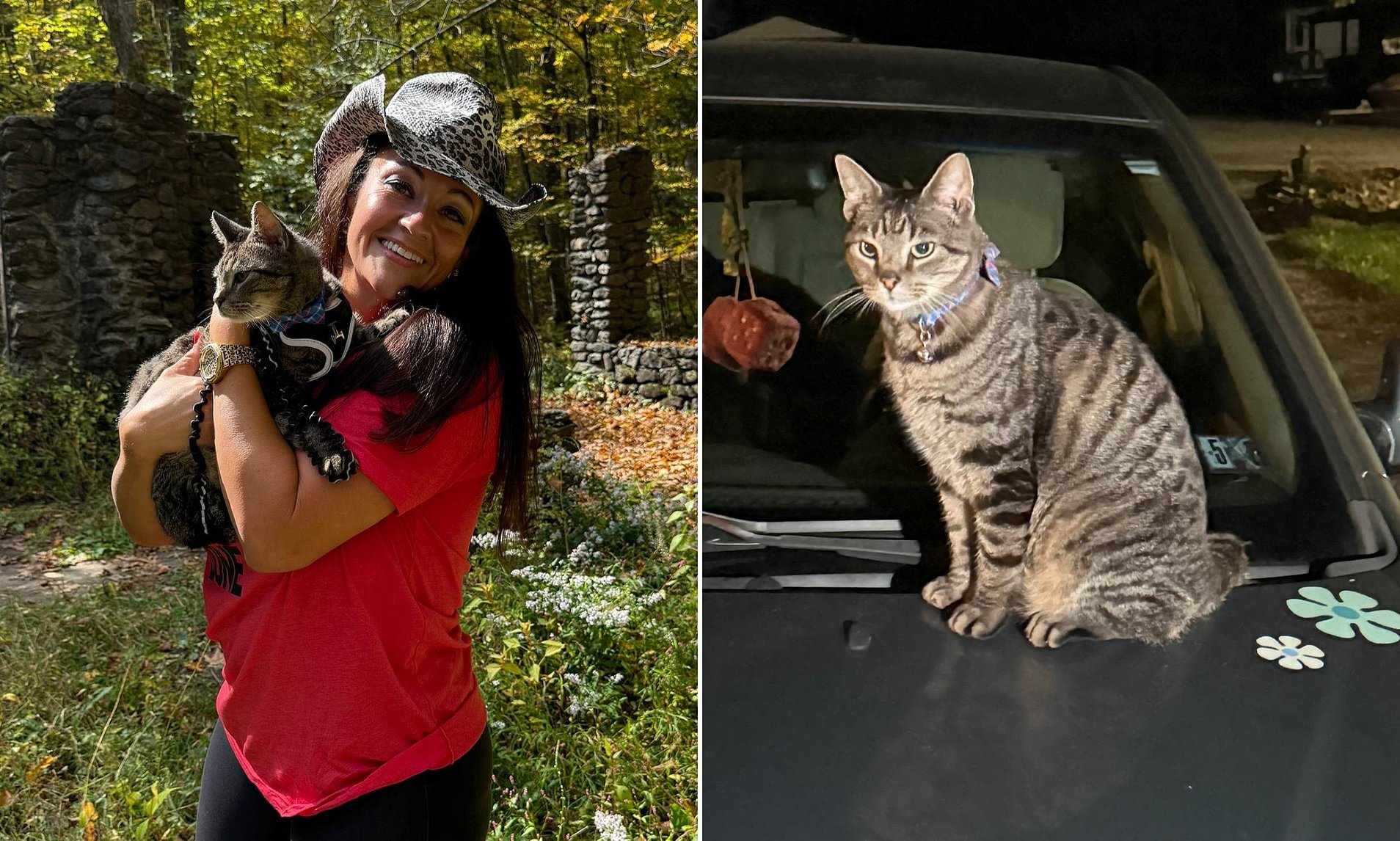 Pet lover whose cat traveled 100 MILES on roof of her car recalls ...