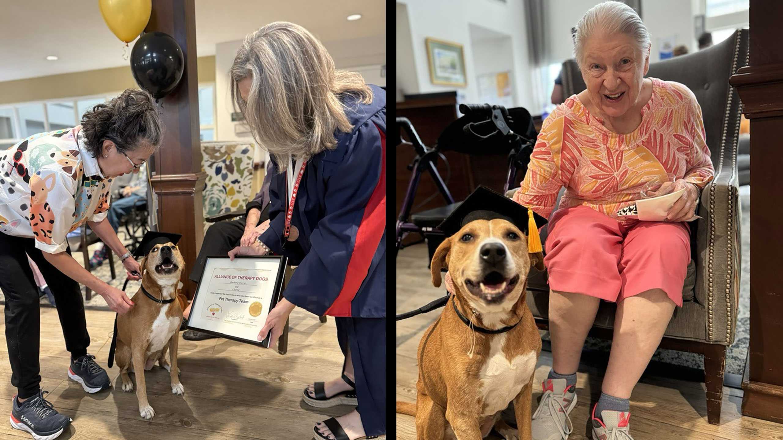 News We Love: A four-legged friend brings joy and comfort to seniors in ...