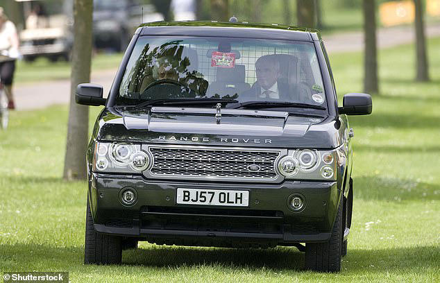 20-year-old Range Rover bought on eBay as a 'project' turns out to be ...