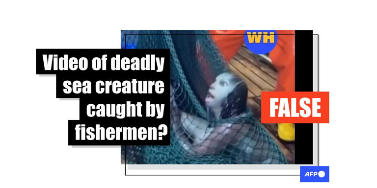 Clip showing human-like creature entangled in fishing nets is AI-generated