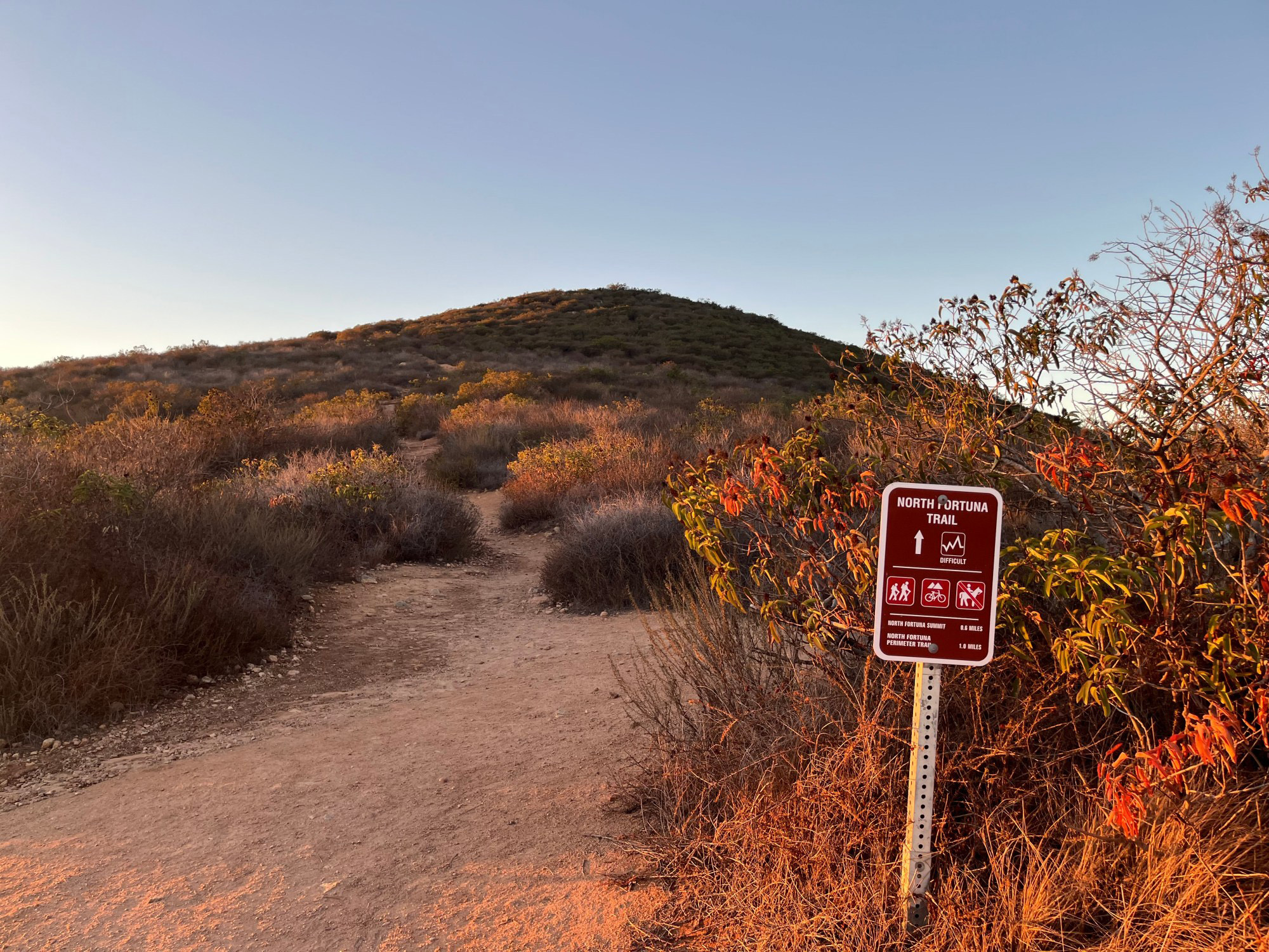 Maura Fox: Celebrate fall in San Diego County at Mission Trails’ North ...