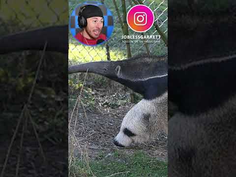 Everyday objects that resemble something entirely different