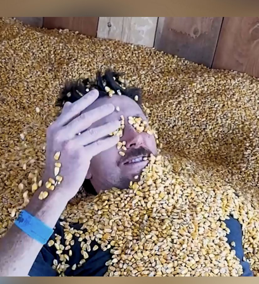 Why Do Grains Defy Gravity