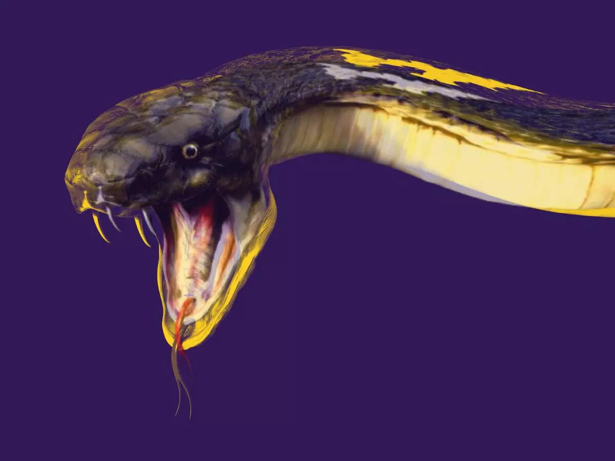 5 ‘worst nightmares’ to have—according to sleep researchers