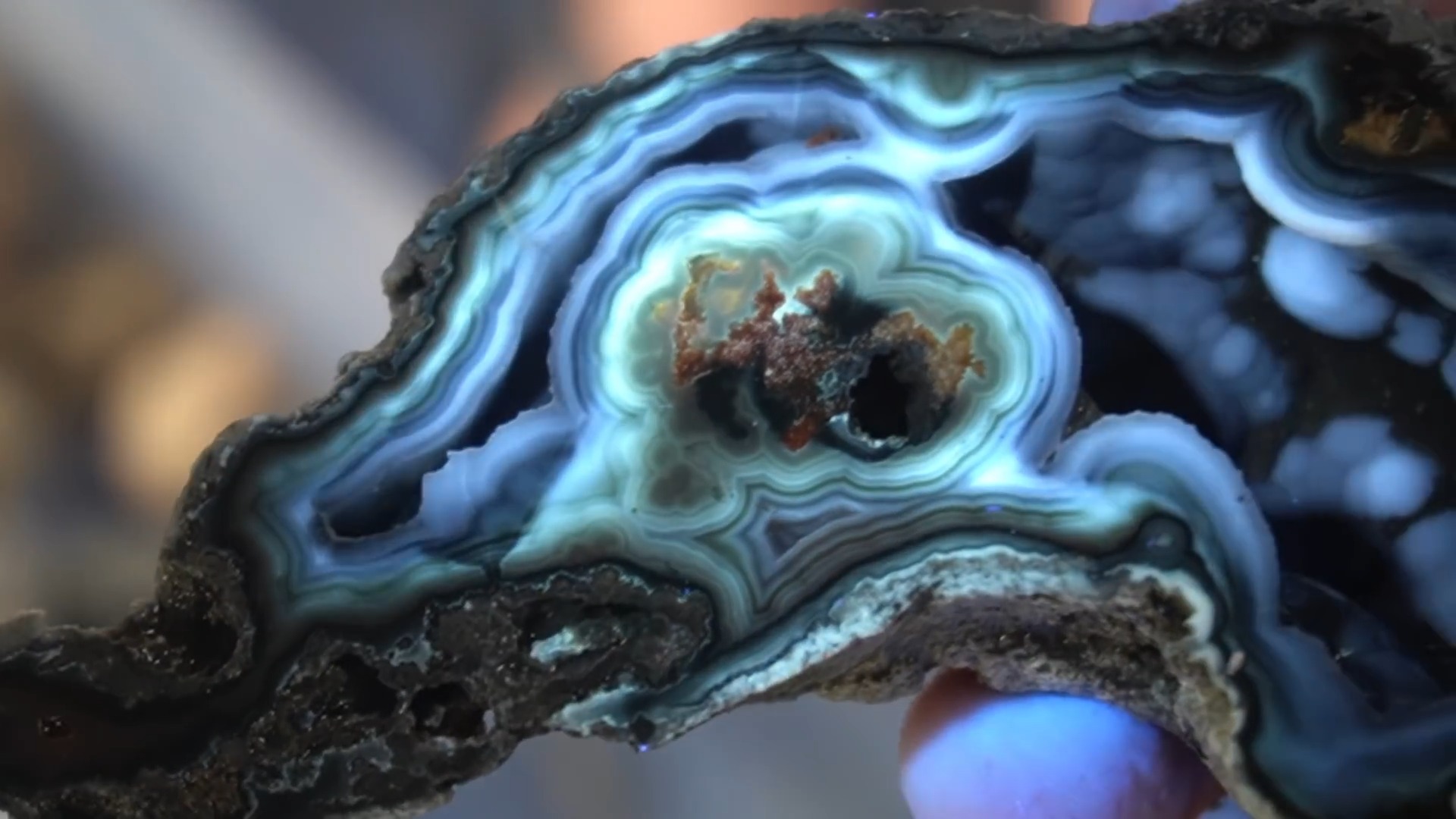 Why cutting open ancient coral revealed an otherworldly scene