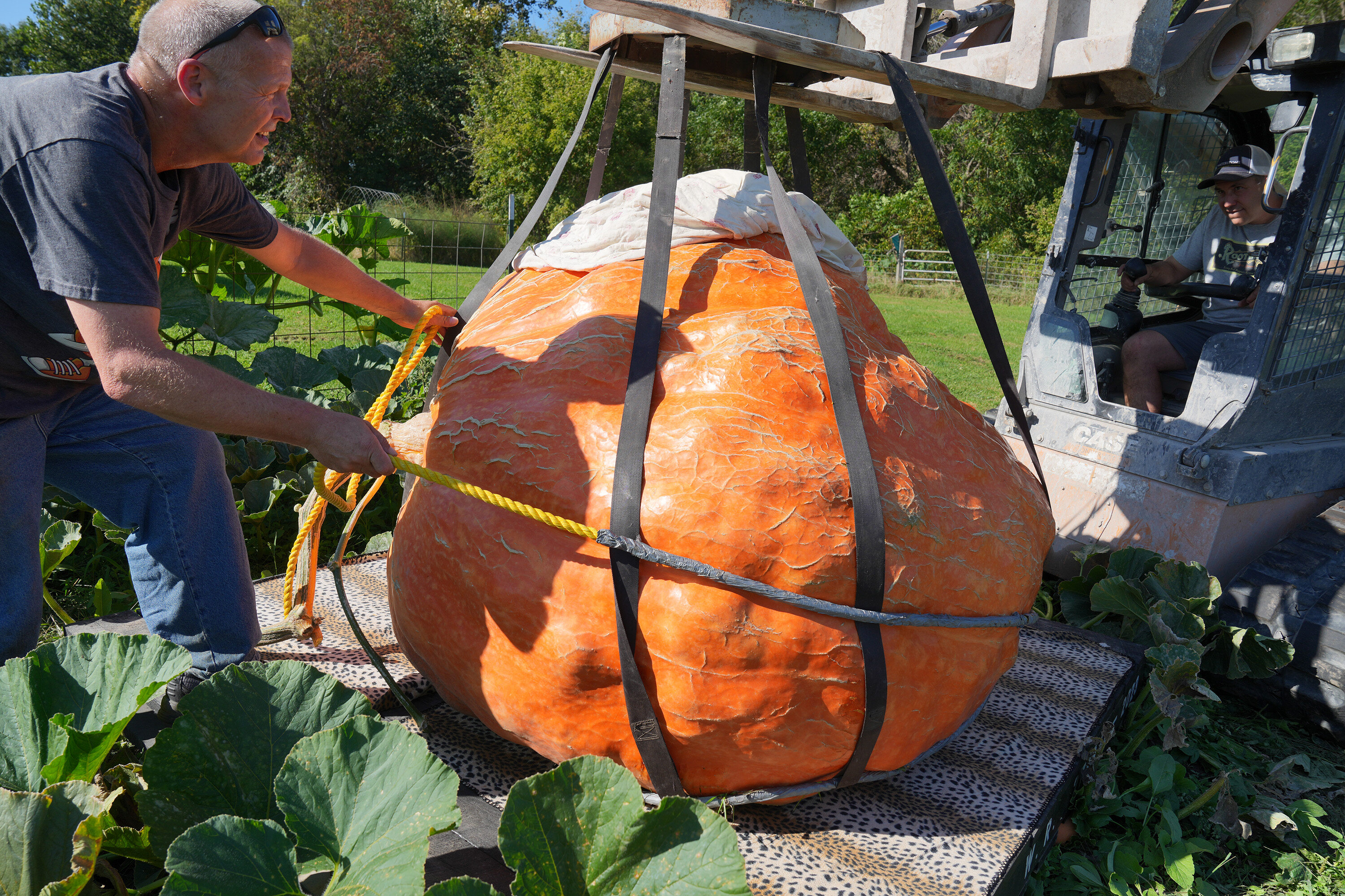 Has the country’s greatest giant-pumpkin grower reached the end of his ...