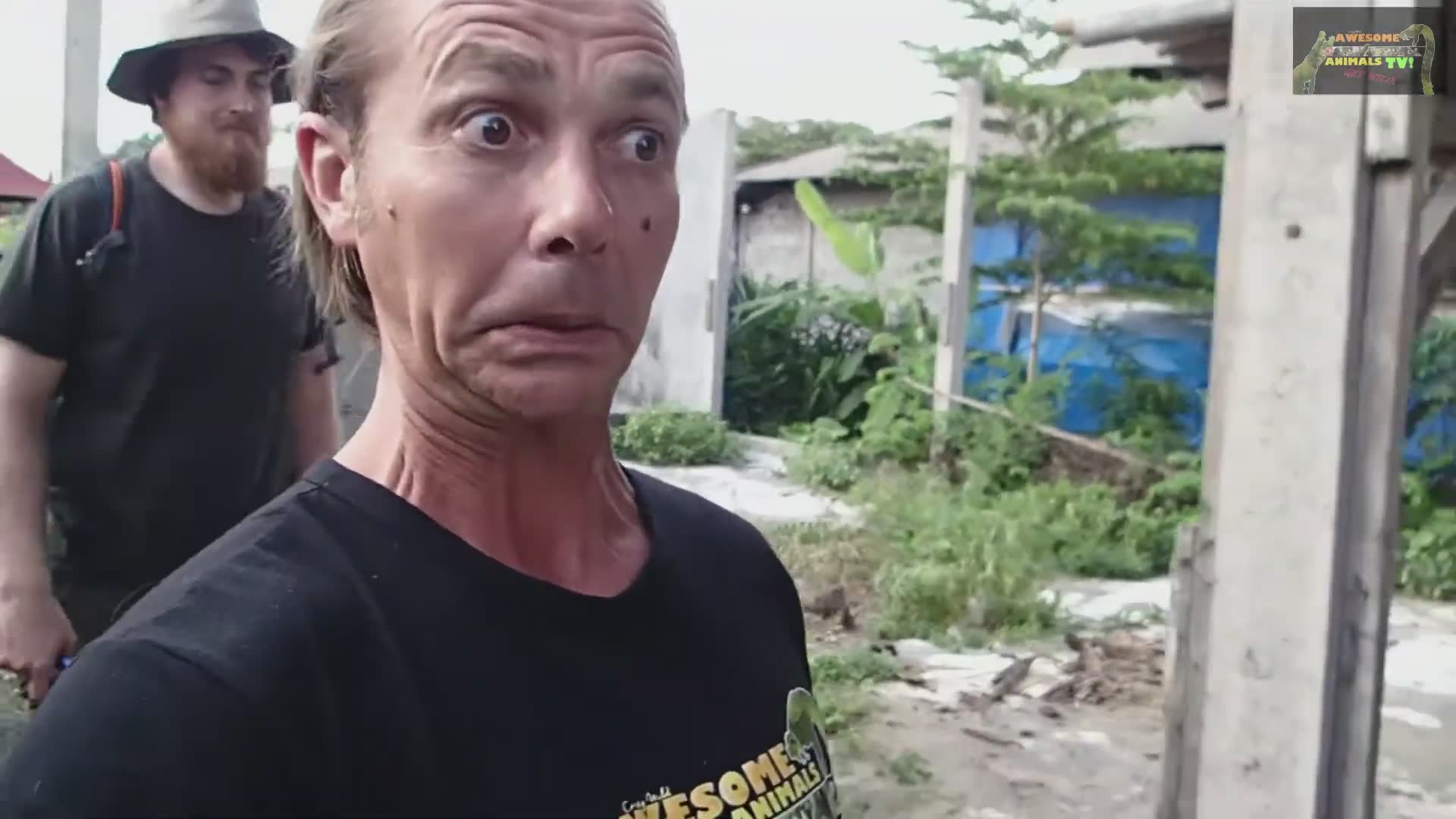 Snake discovery | krait one of the most venomous snakes in Asia with 2 ...