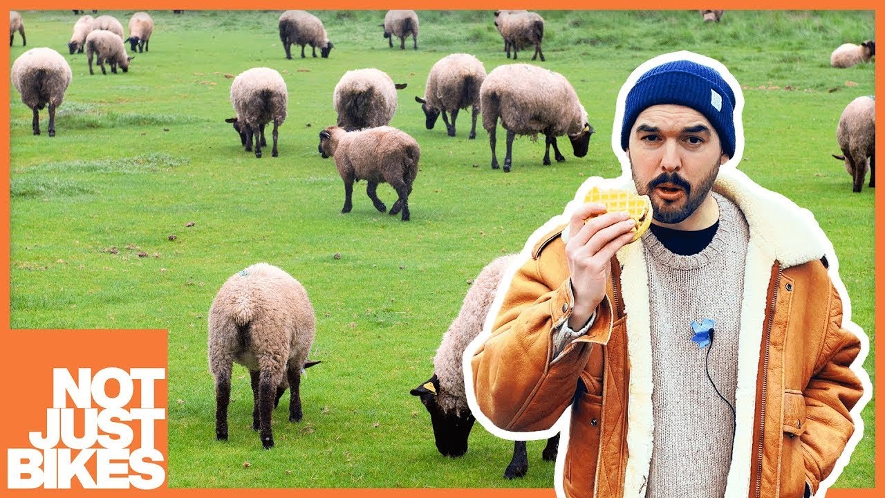 Man faces sex offender charges in Scotland County