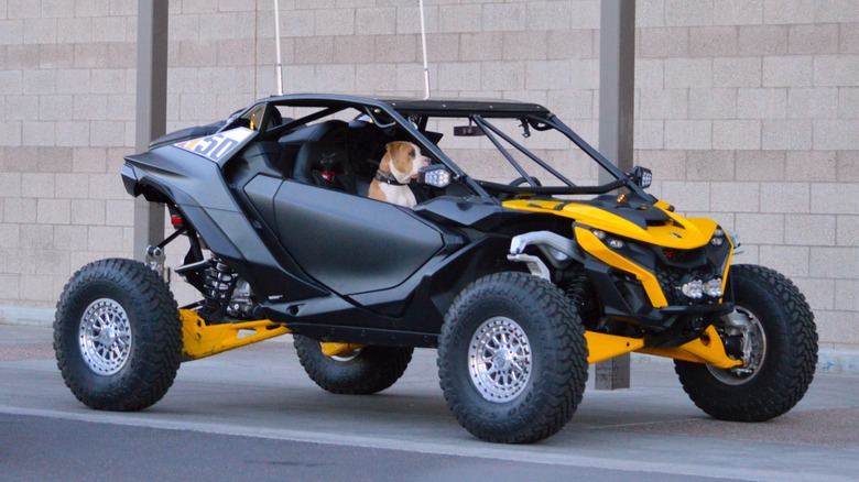Who Makes Can-Am Engines?