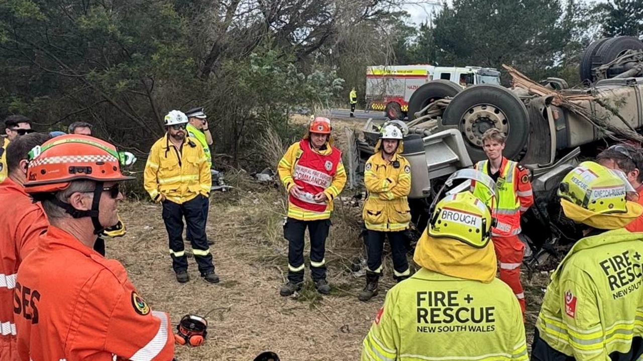 Horses dead, driver critical in crash