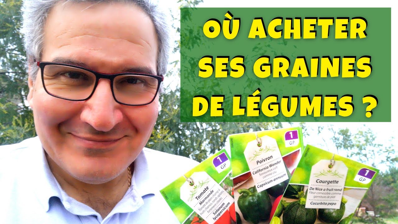 Graines Lidl bon plan ou mauvais choix pour réussir son potager