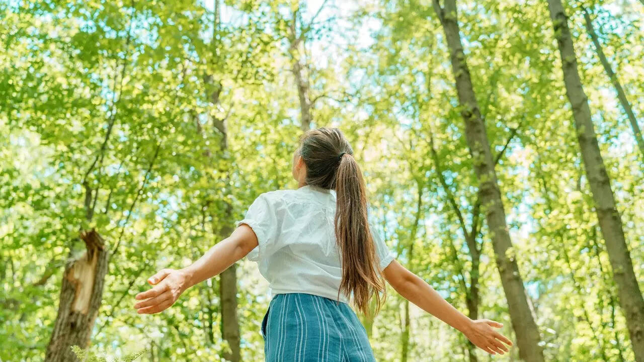 7 daily habits from Ikigai that can add years to your life