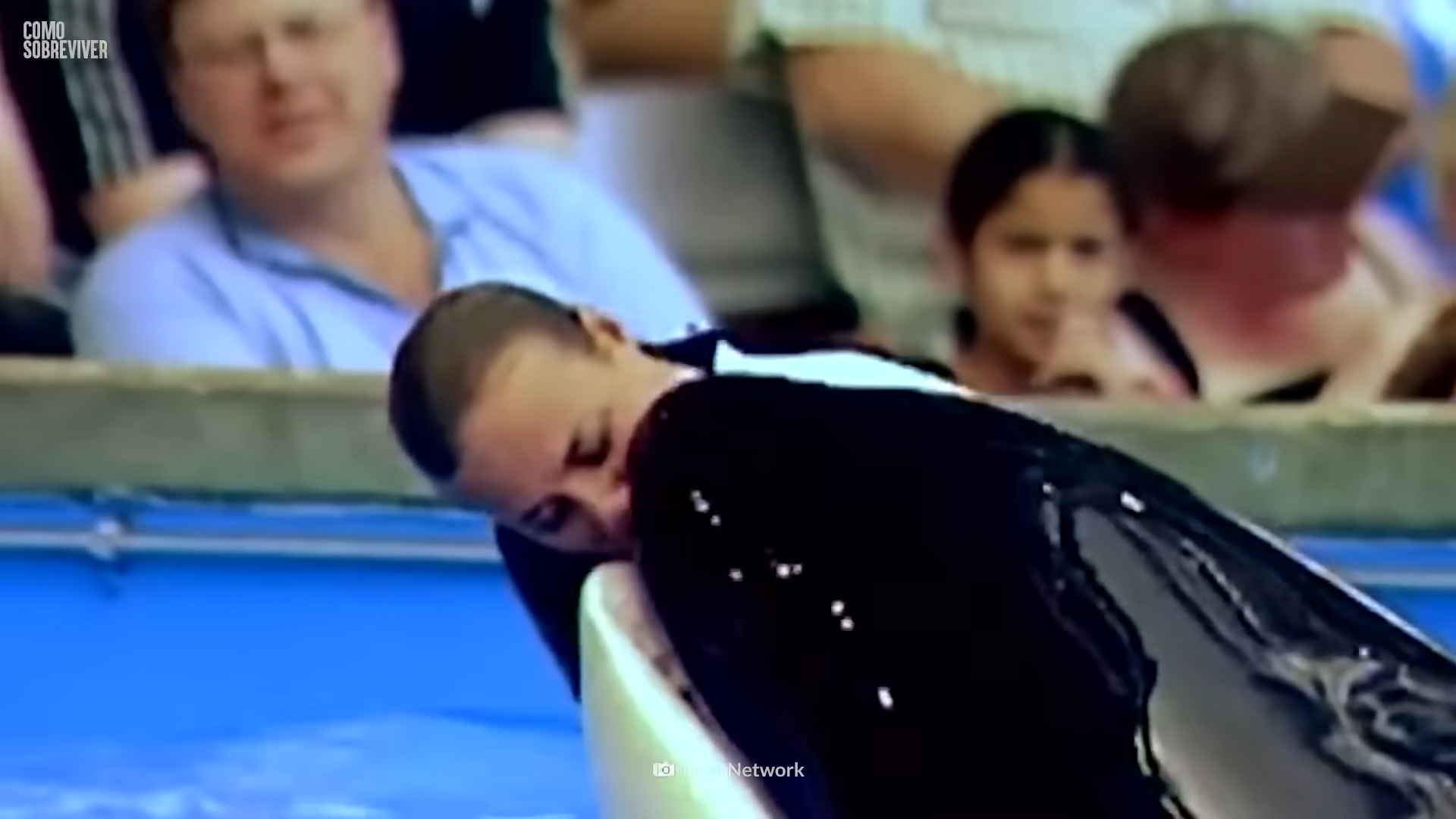 Quando o Mar se Revoltou: A Morte Chocante de Dawn Brancheau no Palco