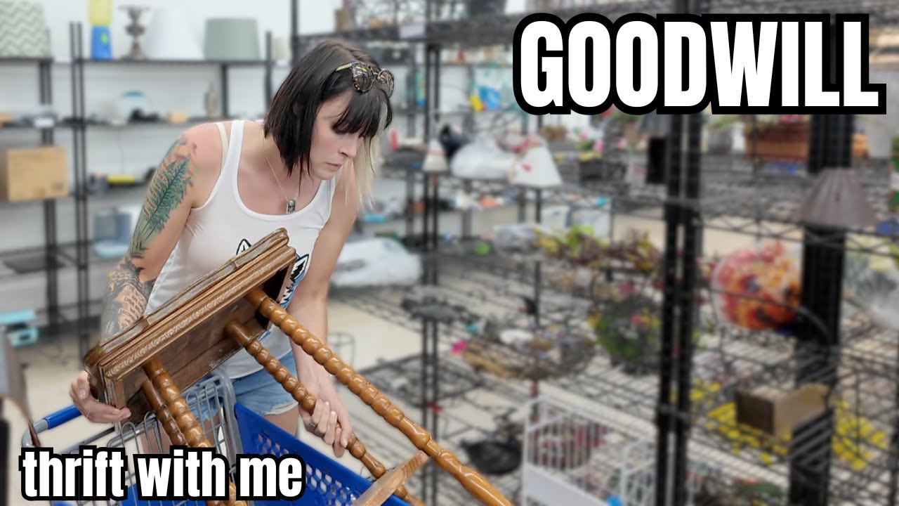 Worth $200?? Maybe I Should Have Bought That One | Goodwill Thrift with Me