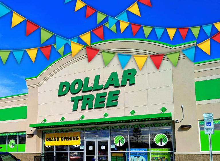 7 Best New Dollar Tree Home Finds Under $7 in Stores This Week
