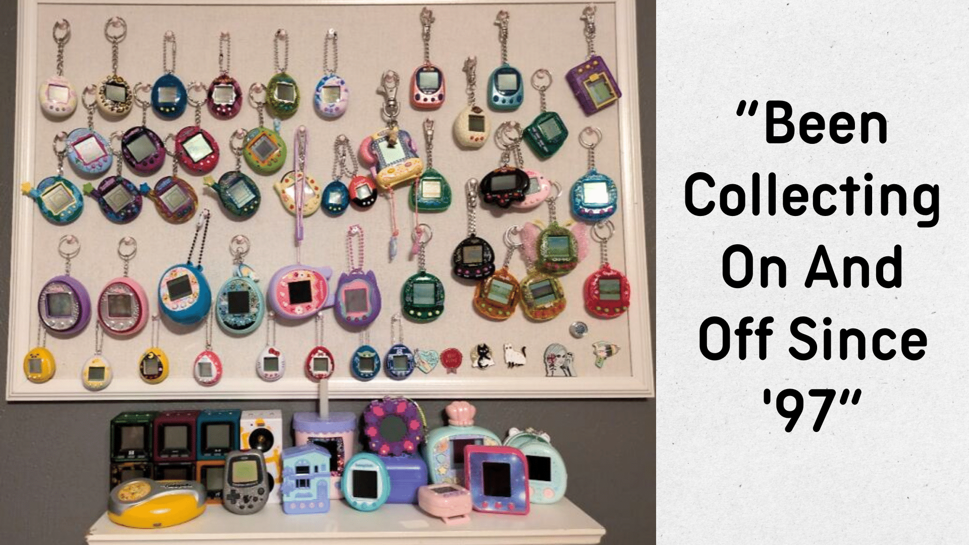 50 Collections That Prove People Will Collect Anything