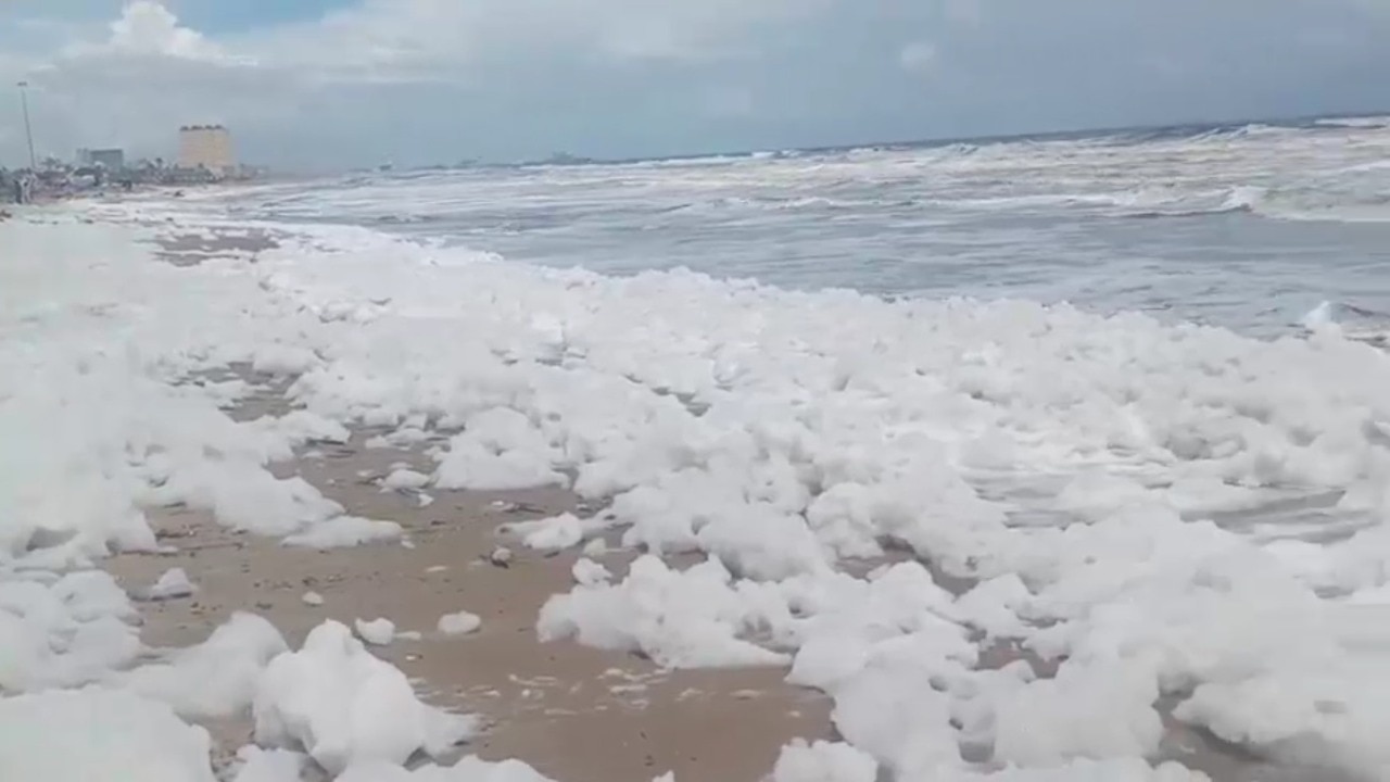 Video: Toxic foam blankets Chennai's Marina Beach raising environmental ...