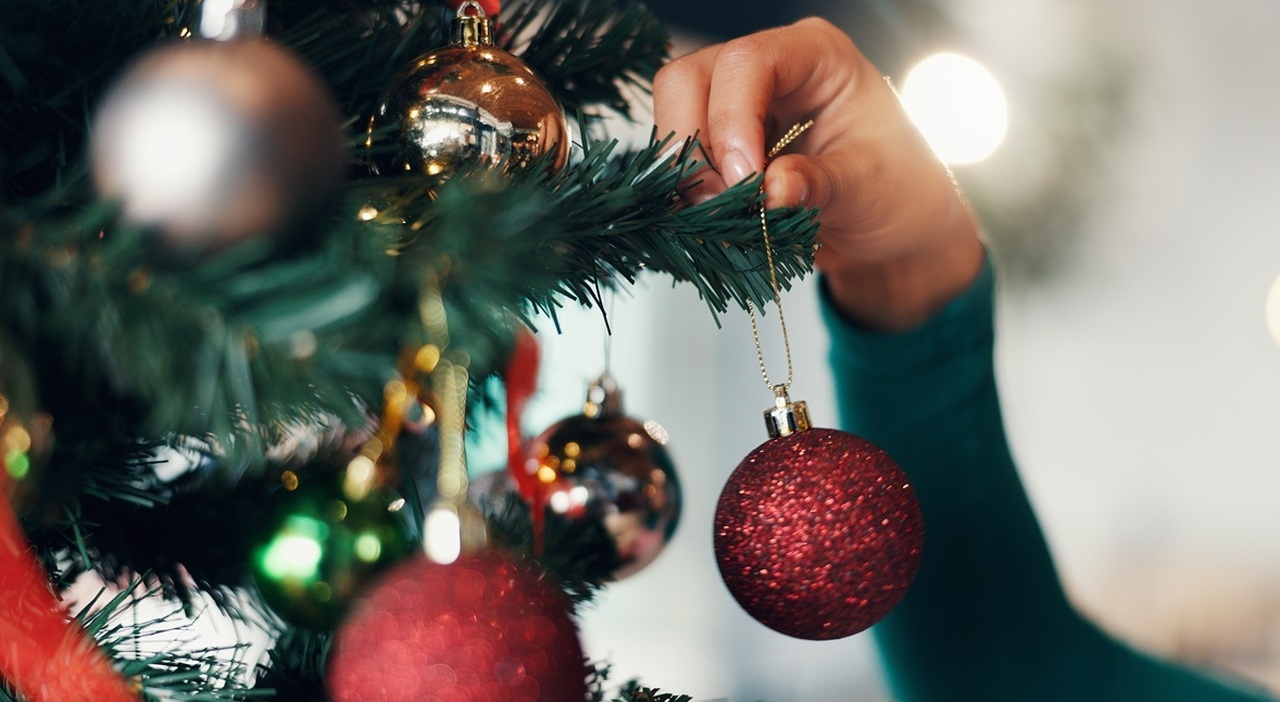 Natale in anticipo: 1,7 milioni di italiani hanno già fatto l'albero ...