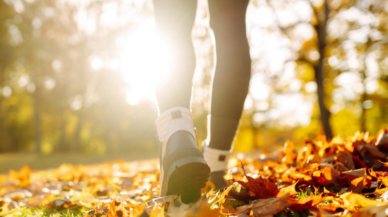 Tucked In Pennsylvania's Appalachian Mountains Is A Hiker's Hub With ...