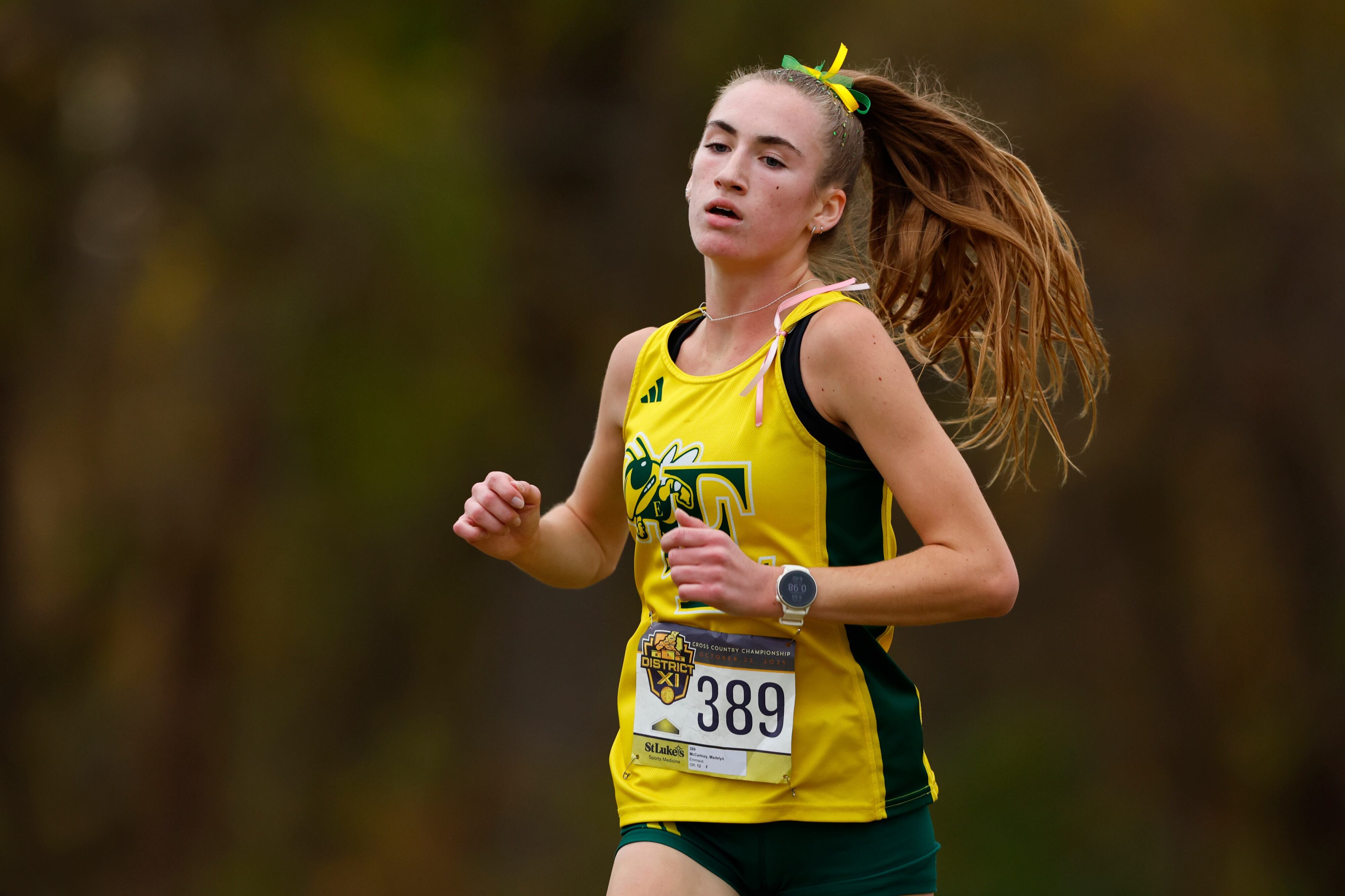 District 11 3A cross country: 1st championship for Emmaus boys in 24 years