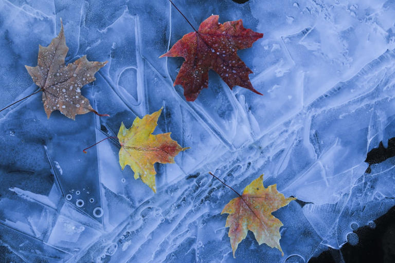 NOAA Winter Forecast Reveals Temperature And Snow Expectations: What To ...